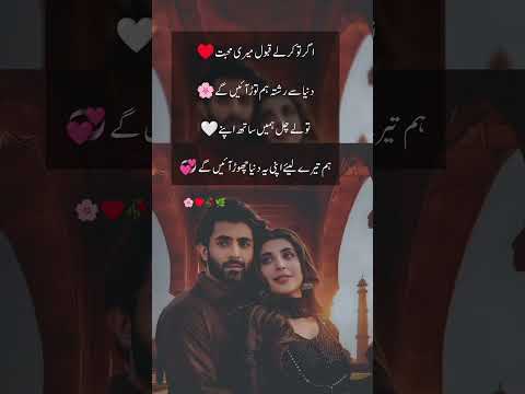 Agar tu Karle qabol meri mohabat ♥️????#poetry #urdushayri #love