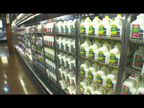 Good Question: How Do The 4 Types Of Milk Differ From One Another?
