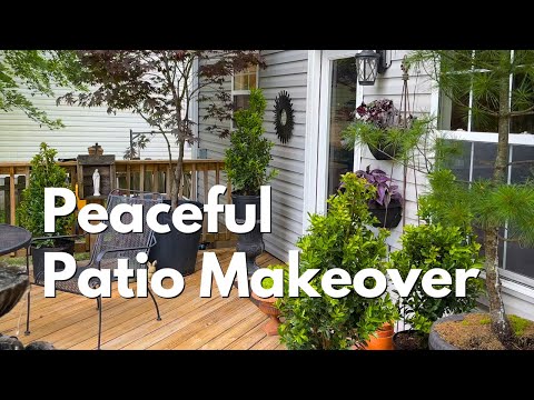 Peaceful Patio Makeover - Patio Ideas for Home Gardeners