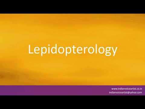How to pronounce "Lepidopterology".