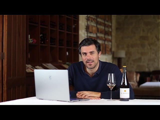 How to pronounce muelle | HowToPronounce.com
