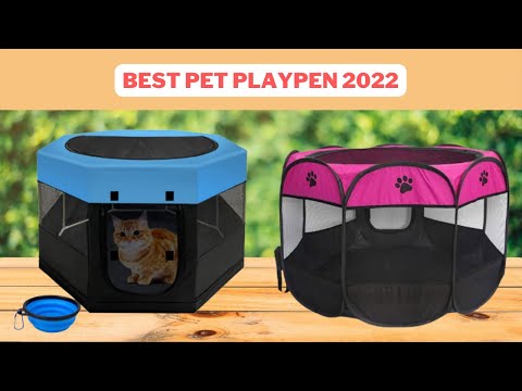 Top 5 Pet Playpen | Best Pet Playpen Reviews 2022