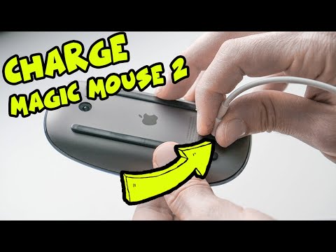 How to Charge Your Apple Magic Mouse 2