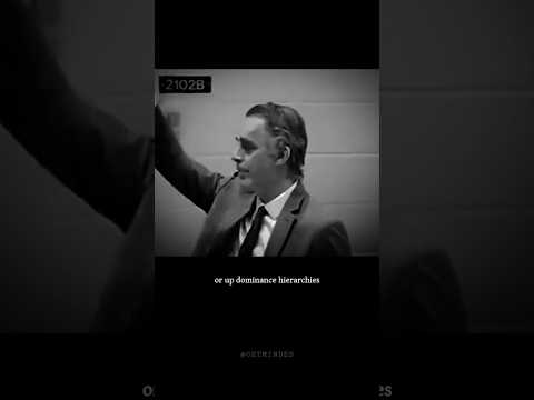 Women with Higher IQ Level by Jordan B Peterson