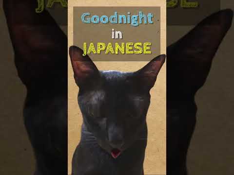 How to say goodnight in Japanese? - Casual and formal