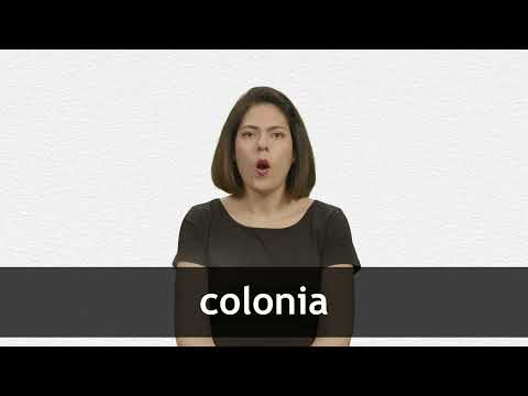 English Translation of “COLONIA” | Collins Spanish-English Dictionary