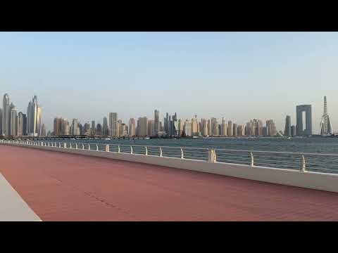 Palm Jumeirah | Dubai Marina  | JBR