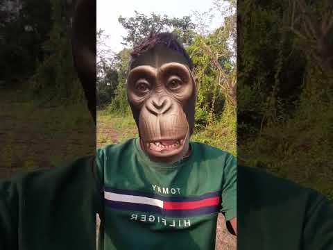 funny monkey face π΅ #funny #memes
