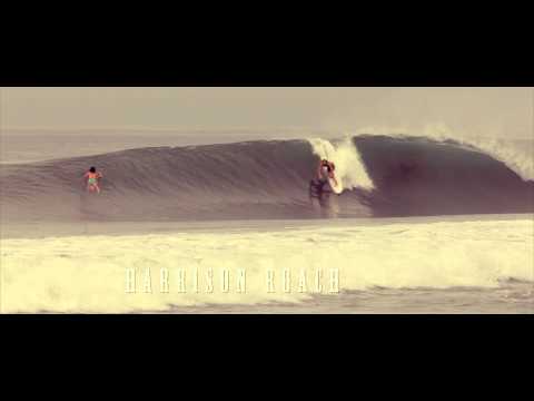 Special K & The Sea Badgers