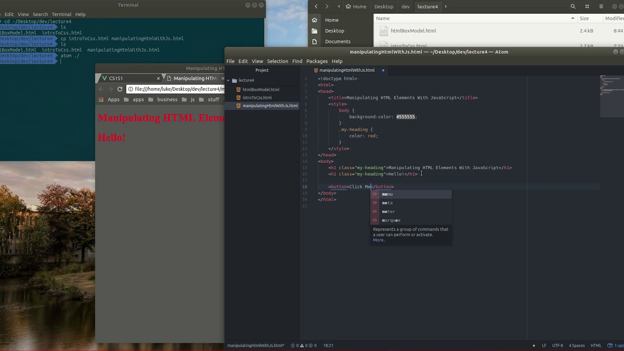 Input Output with HTML Elements and JavaScript