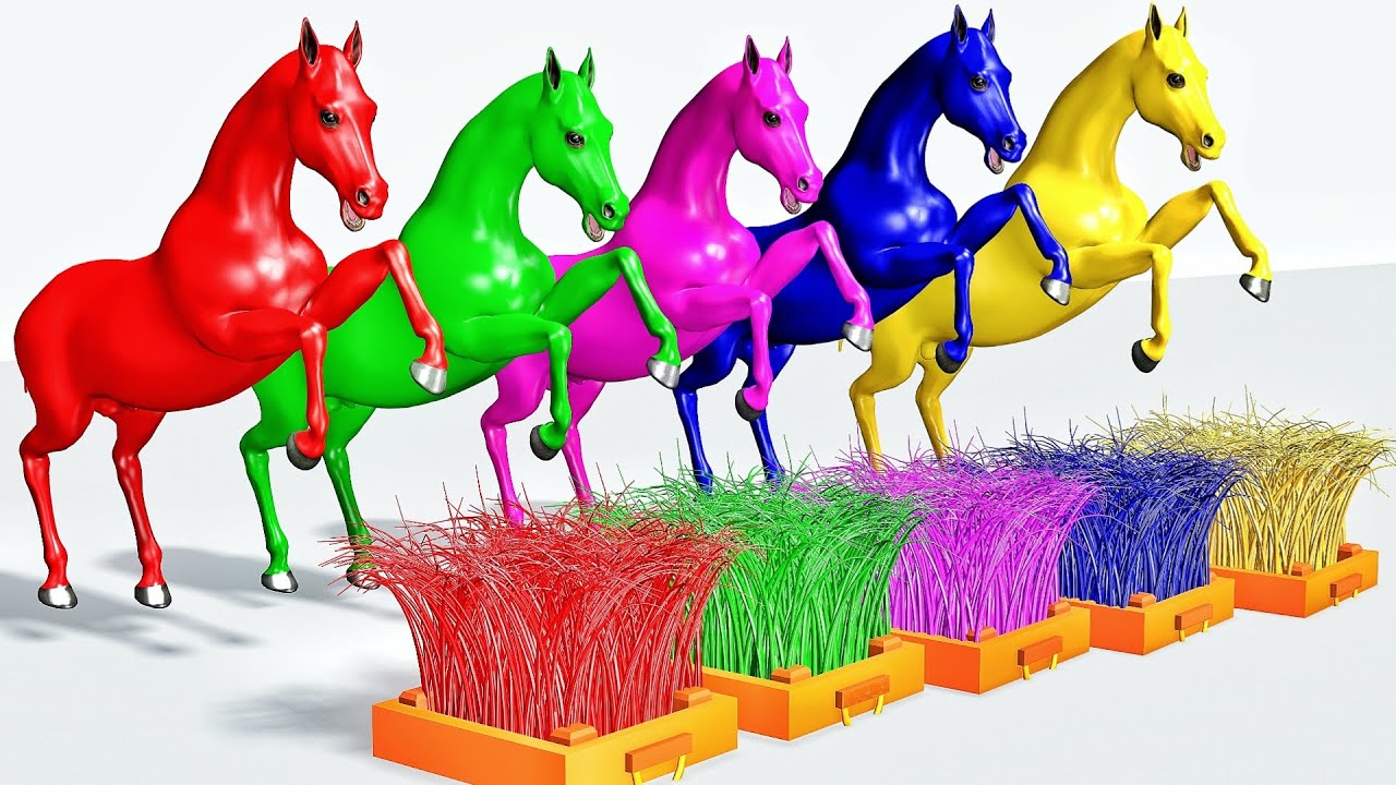 Long Slide Game With Elephant Gorilla Buffalo Hippopotamus Tiger - 3d Animal Game - Funny 3d Animals