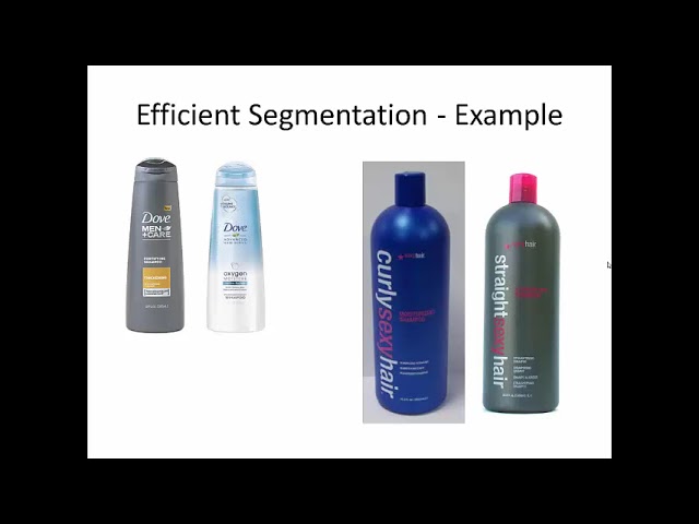 Understanding Segmentation: A Strategic Approach to Market Division ...