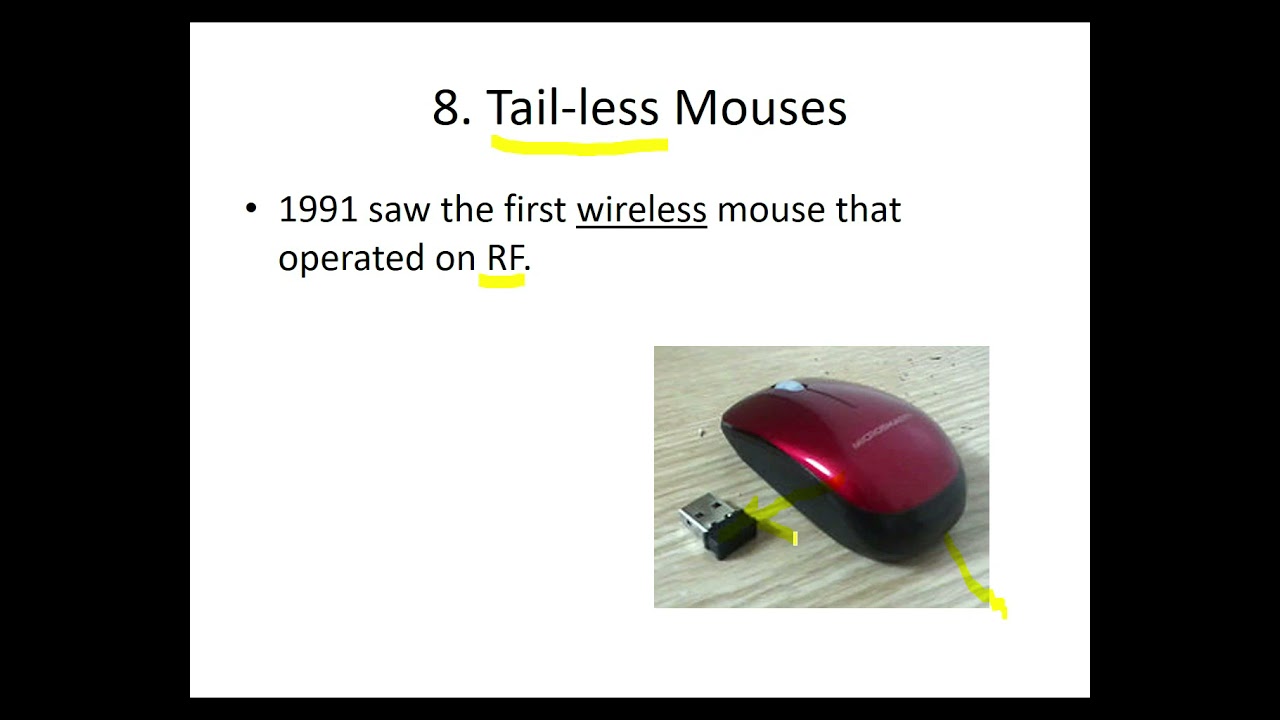 Mouse Presentation