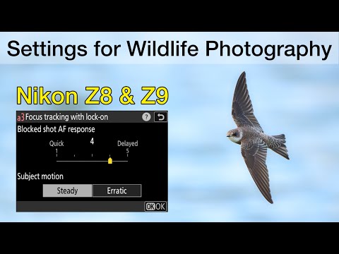 Nikon Z8 & Z9: Bird & wildlife photography camera setup (1695)