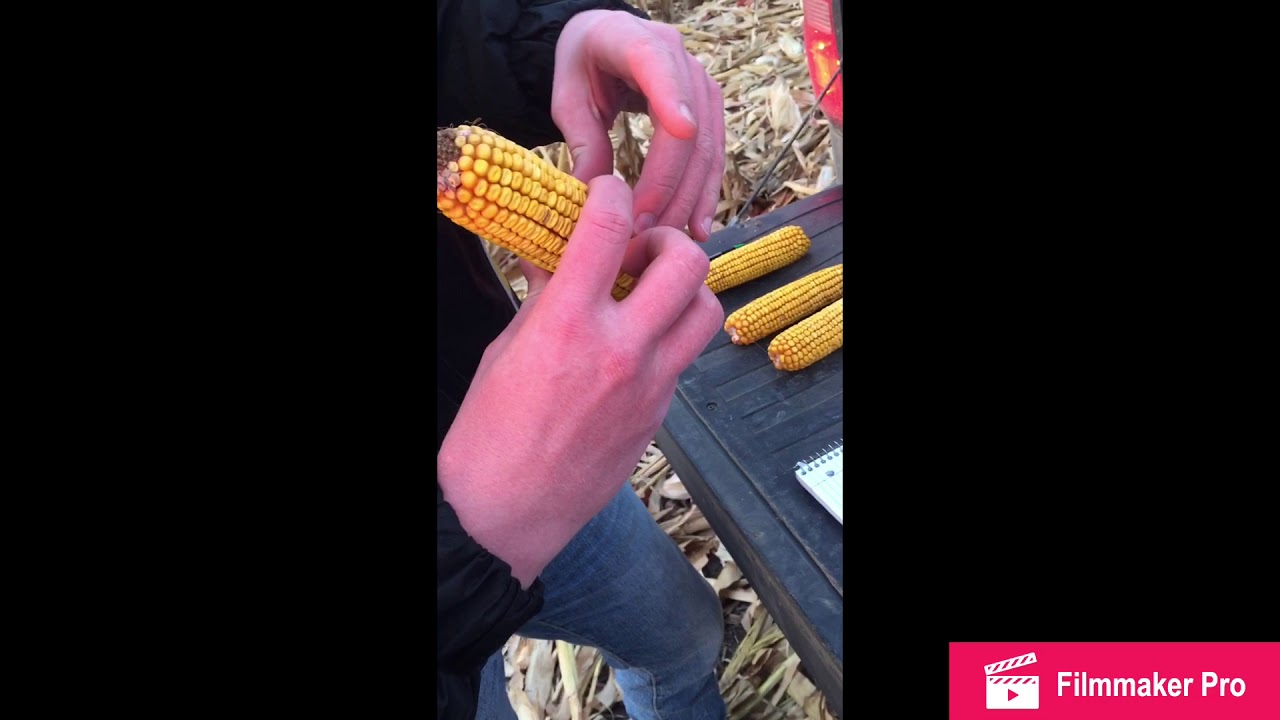 Estimating Corn Yield - James Erickson