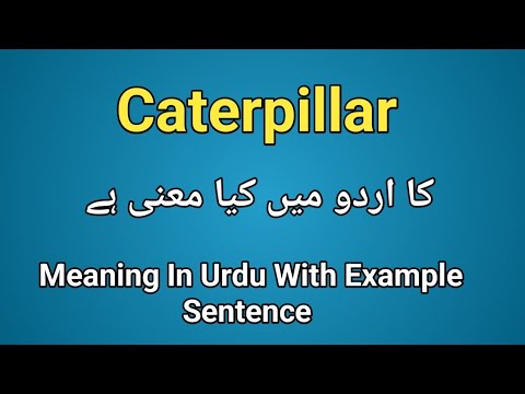 Caterpillar meaning in urdu/hindi |Caterpillar k kia matlab hai |Caterpillar in sentence