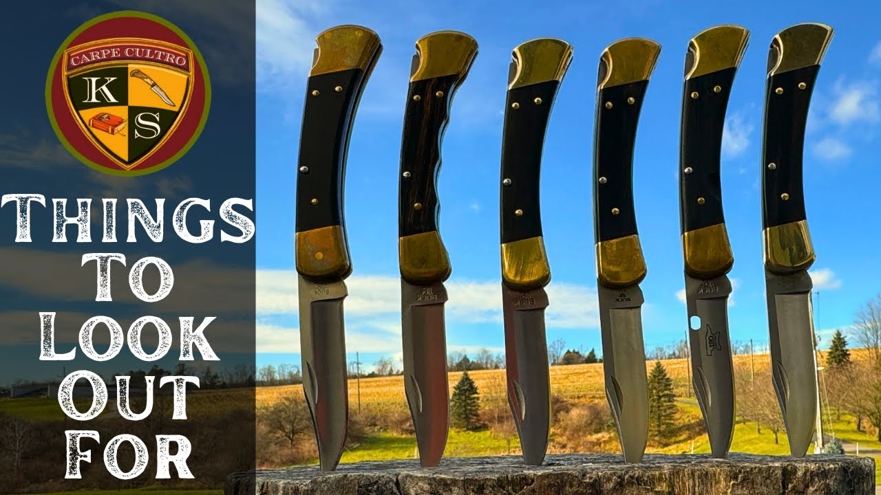 Stop! Watch This Before You Buy a Buck 110