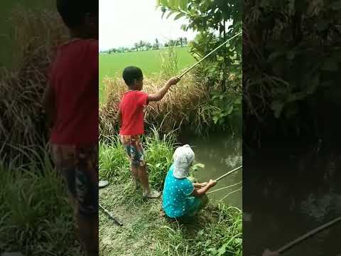 NAMIMINGWIT NG ISDA SA SAPA | PAITAN |
