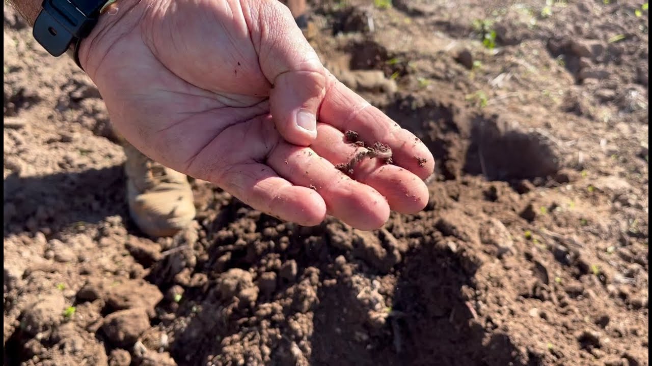 Practice Change Video - Promoting Soil Health