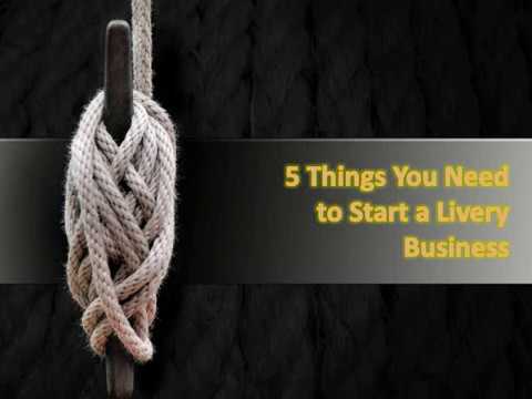 5 Things You Need to Start a Livery Business