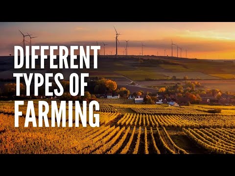 15 Different Types of Farming