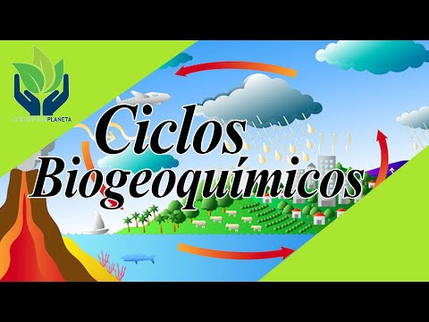 TOMi.digital - La clasificación de la materia y los ciclos biogeoquímicos