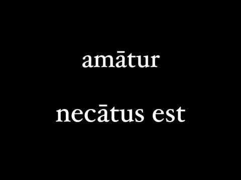 The Passive Voice in Latin