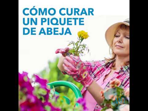Cómo Curar un Piquete de Abeja
