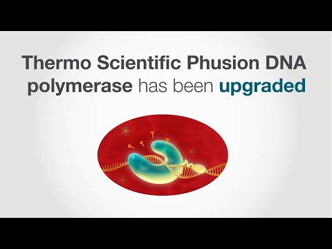 PCR with higher success, simpler success, and a trusted enzyme
