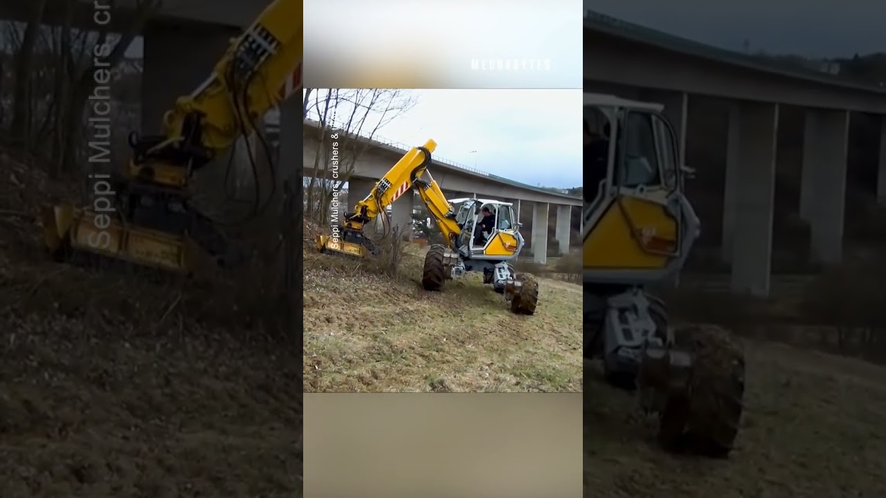 Insane Excavator Mulcher!! #technology #innovation #forest #forestry #excavator #mulching #viral