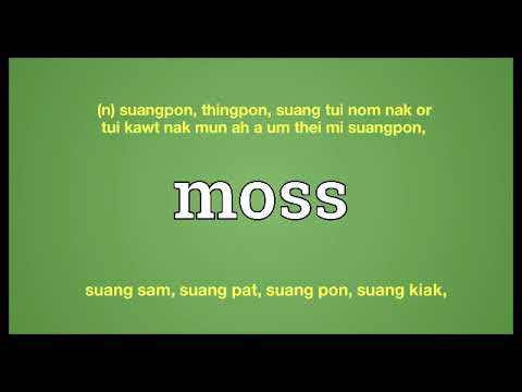 moss meaning in English Ngawn