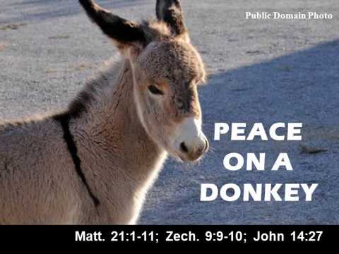 Peace on a Donkey (Palm Sunday Sermon during COVID-19) – 3-D Christianity