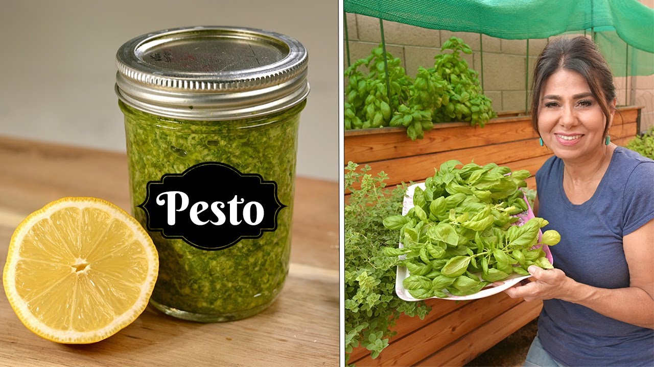 HOW I MAKE FRESH BASIL PESTO