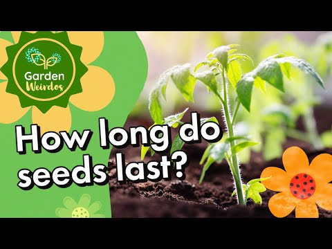 How long do seeds last? | Tree mulch rings | Front Yard Gardening | Garden Weirdos
