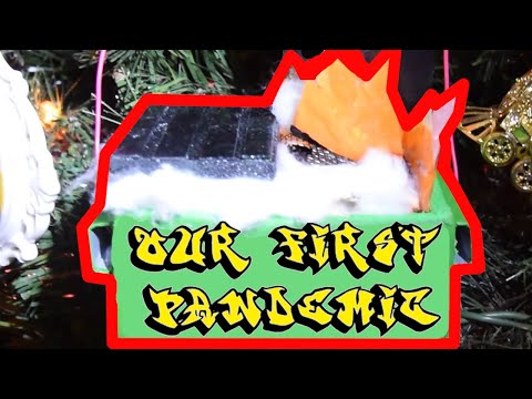 Dumpster Fire Christmas Ornament for a Dumpster Fire Year