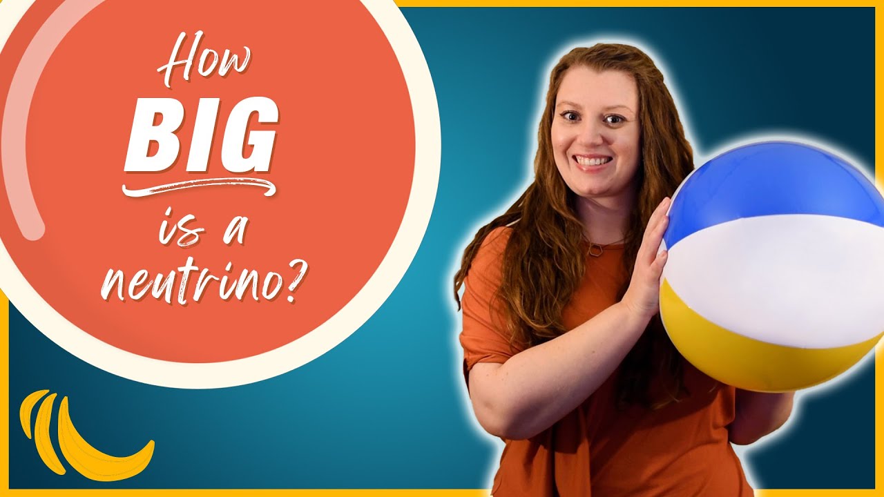 How big is a neutrino? | Even Bananas 06