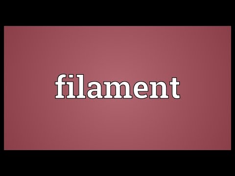 Filament Meaning