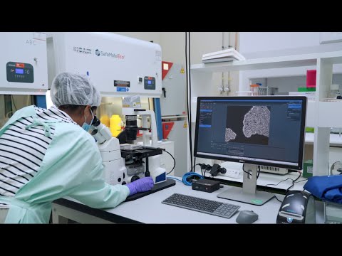 CL1 – Synthetic Biological Intelligence | Meeka's Mind