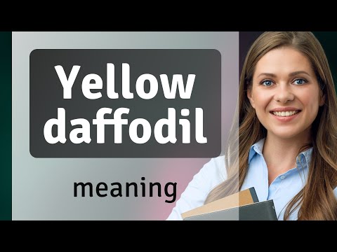 Understanding "Yellow Daffodil": A Journey into English Phrases