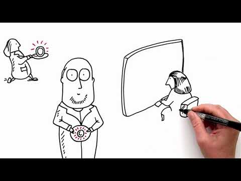 What Are Stem Cells And How Do We Use Them?
