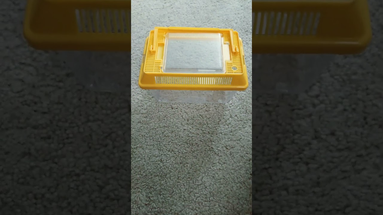This is Humphrey’s cage.