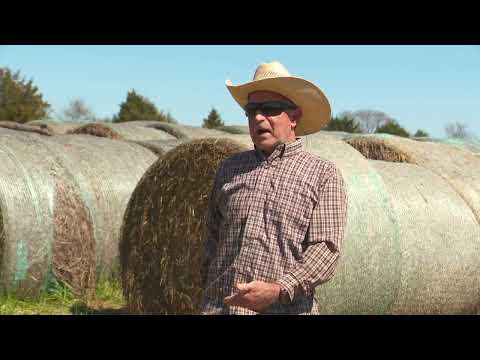 'You have to be able to survive financially:' Diesel prices impacting local farmers