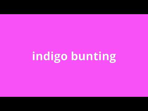 what is the meaning of indigo bunting.