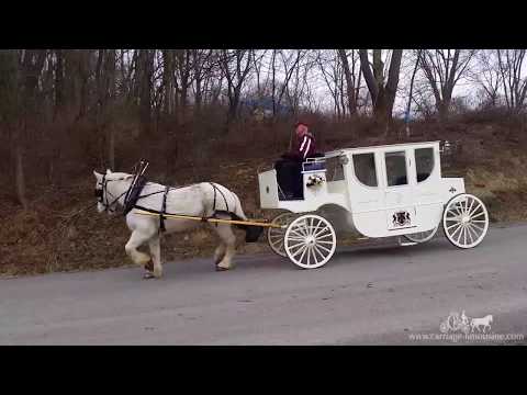 Giving the BRAND NEW Royal Coach a final test run! Royal Coach 1