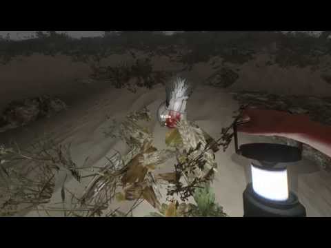 Steam Community :: Video :: Stranded Deep - Wollie And The Coconut ...