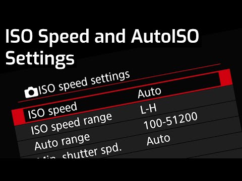 Canon R5: ISO settings (4147C002)