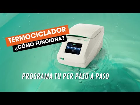 ¿Cómo funciona el Termociclador?