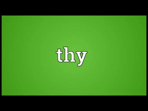 thy meaning in English