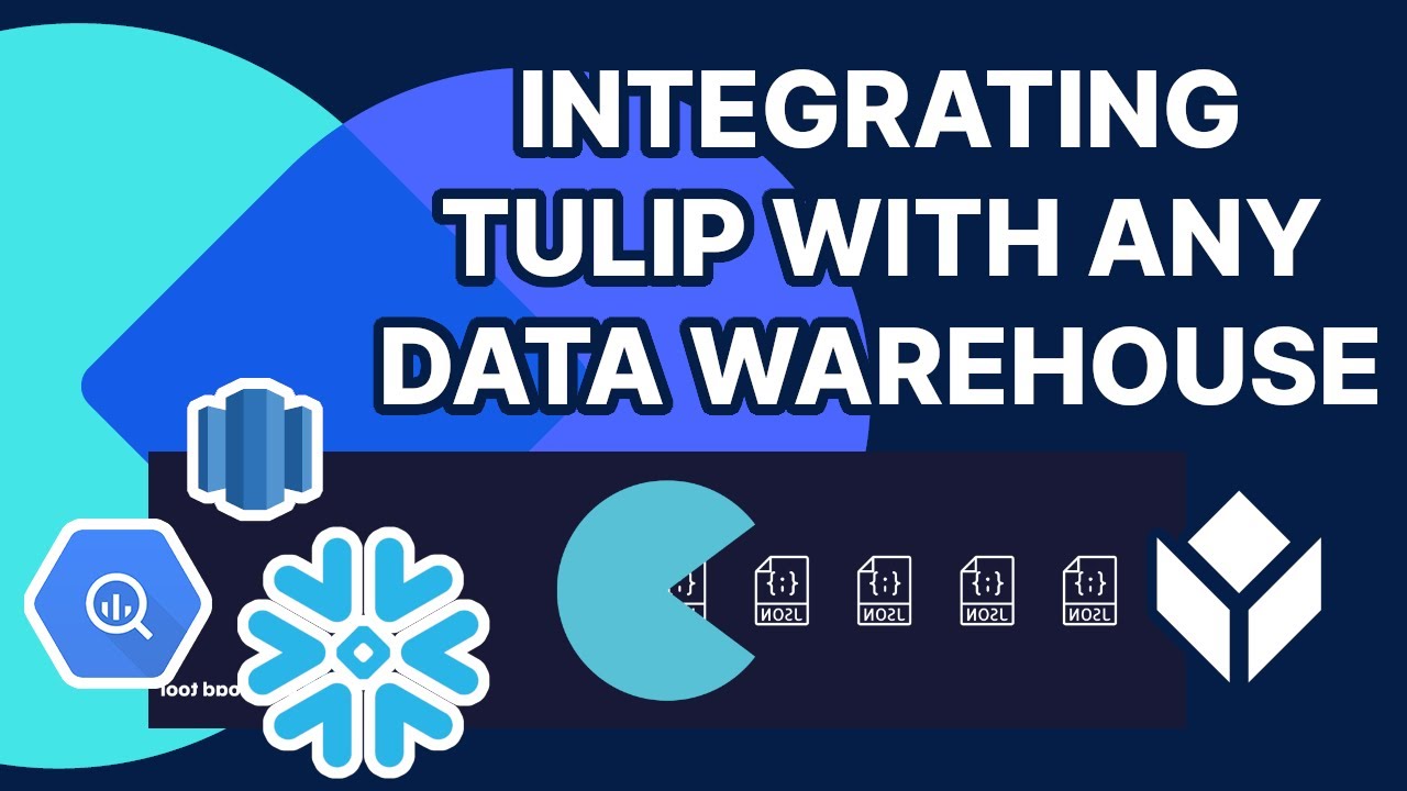 Tulip Data Extraction to any Data Warehouse