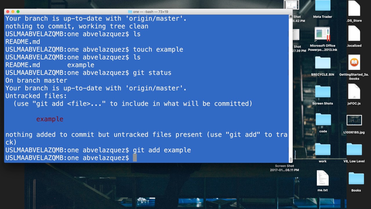 Git  : undo 